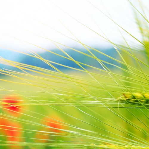 EA7身处黑暗-苏可可&潮音哥&DJ YiXiu&虞姬-mp3免费在线下载播放-歌曲宝-找歌就用歌曲宝-MP3音乐高品质在线免费下载